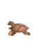 Boîte Tortue – Noyo créatif