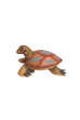 Boîte Tortue – Noyo créatif