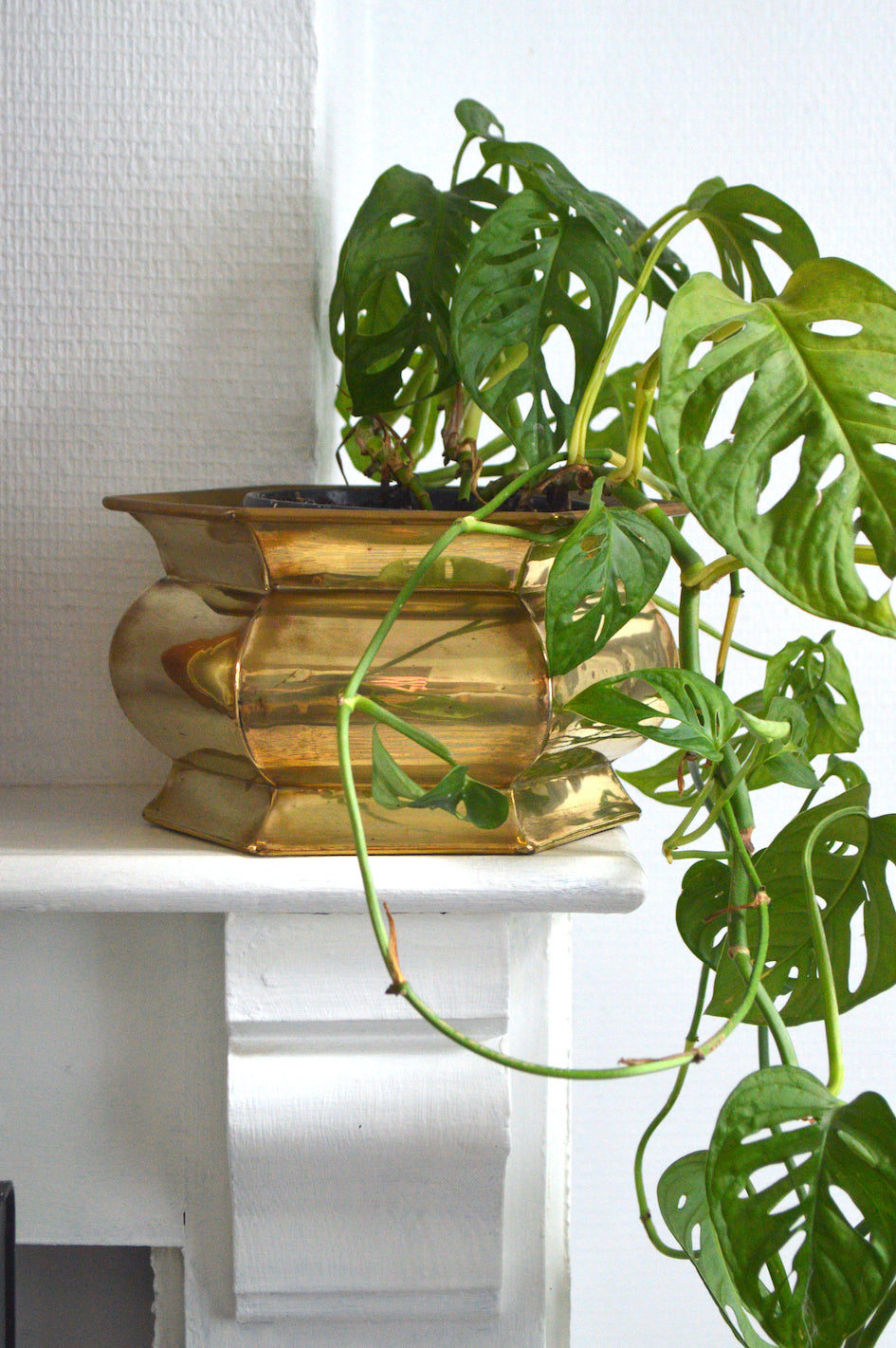 Cache-pot doré – Noyo créatif